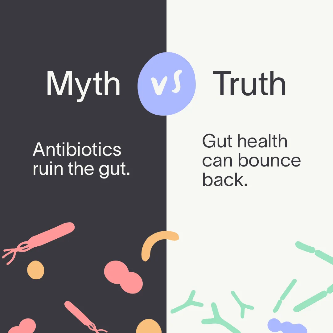 How to Restore Your Gut Health After Taking Antibiotics?